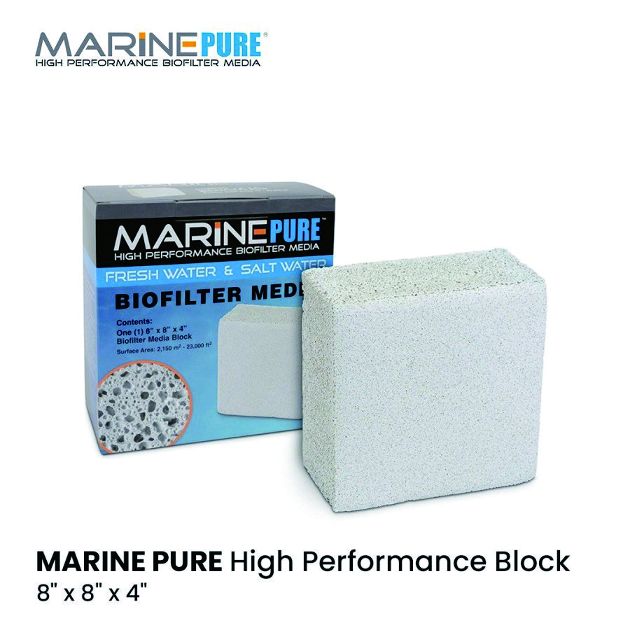 Marine Pure – JAF KOI CENTRE
