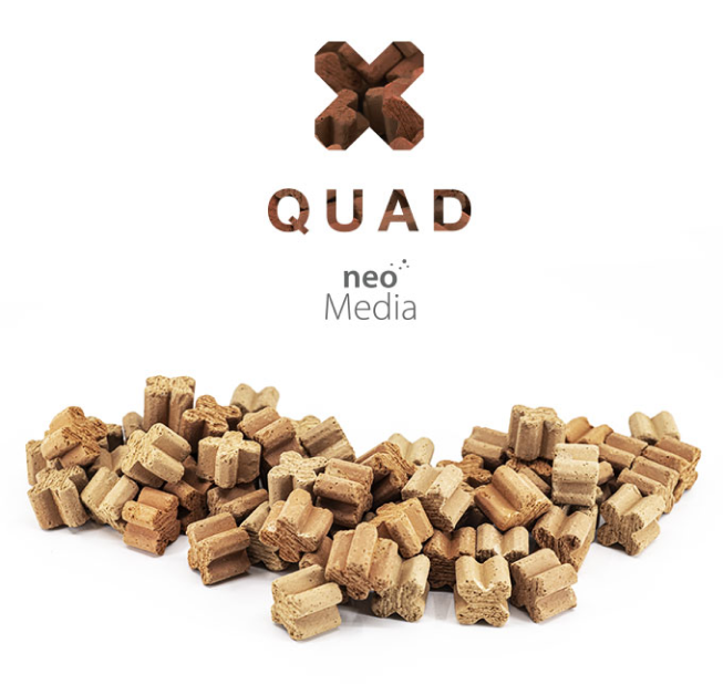 Neo Media QUAD – JAF KOI CENTRE